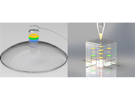 Publications • Viriginia Tech Biomanufacturing And Bionsensing Laboratory