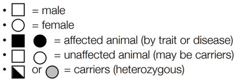 Vtec 2305 Pedigree And Sex Linked Inheritance Flashcards Quizlet