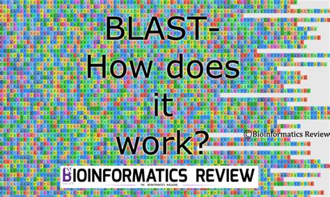 How Blast Works Concepts Types And Methods Explained — Bioinformatics