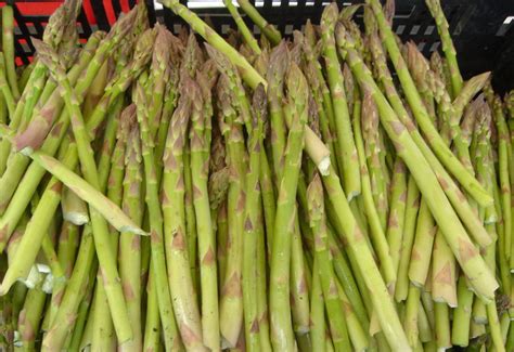 Спаржа со своего огорода Цена 250 грн 1 кг 250 грн Продукти харчування напої Миколаїв на Olx