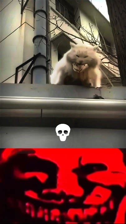 Troll Face Meme Part 41 Shorts Sigma Anime Trollface Youtube