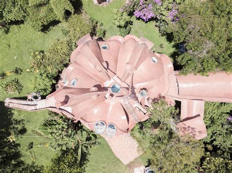 Berita Dan Informasi Rumah Gurita Viral Terkini Dan Terbaru Hari Ini Detikcom