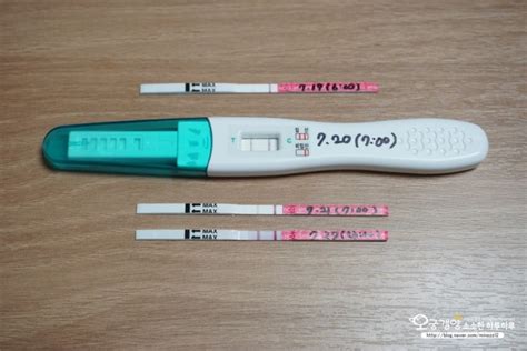 임신초기 임신테스트기 해피타임 얼리체크 스마일 임테기 네이버 블로그