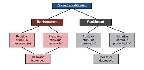 183 Implicit Memories Associative Vs Nonassociative Learning