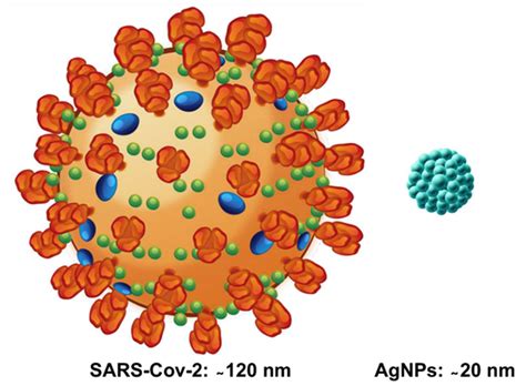 Nanometer Scale Comparison