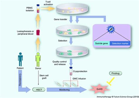 Stemcells Epigenetics Genetherapy Regenerativemedicine