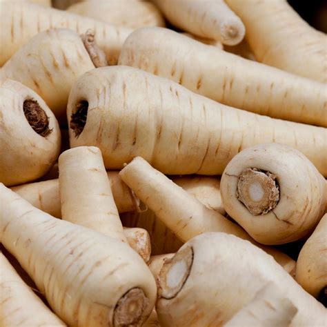Buy Parsnip Gladiator F1 Seeds At Uk