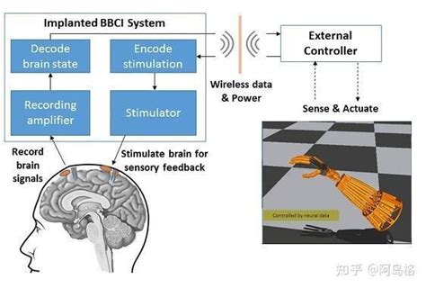 2 人性算法与神之决策 从热情的多巴胺到冰冷的机器学习 知乎