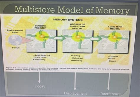 Solved Psychology Of Memory Chapter 7