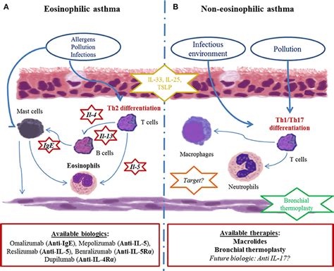 Frontiers Needs For Systems Approaches To Better Treat Individuals