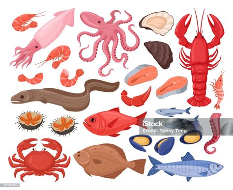 만화 해산물입니다 랍스터 굴 가재 조개류 참치 연어 지중해 식단 맛있는 해산물 메뉴 평면 벡터 일러스트 레이 션 세트 신선한