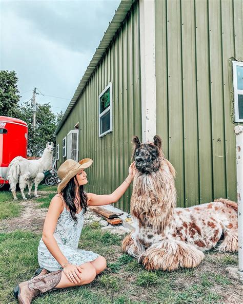 Happy Monday Everyone Here S A Photo Of A Llama To Lighten Up Your Monday Blues Fun Fact You