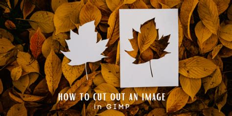 How To Cut Out An Image In GIMP Step By Step Guides
