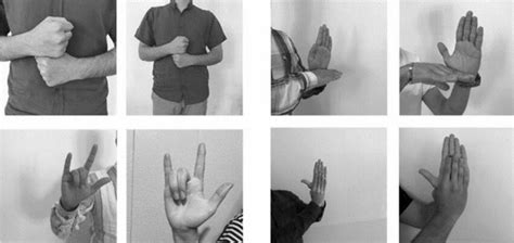 The Diversity Of Dataset Images At Different Positions Angles And Sides Download Scientific