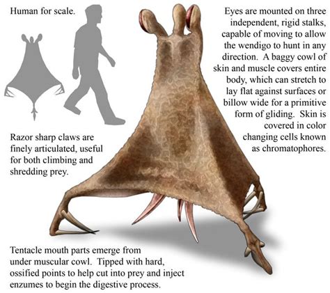 ปักพินโดย Fabien Maddalena ใน Speculative Evolution สัตว์ ไอเดีย