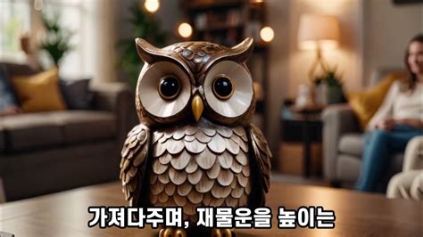 부엉이를 가까이하면 돈이 들어온다 Youtube