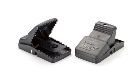 Trapper T Rex Rat Snap Traps 12 Box