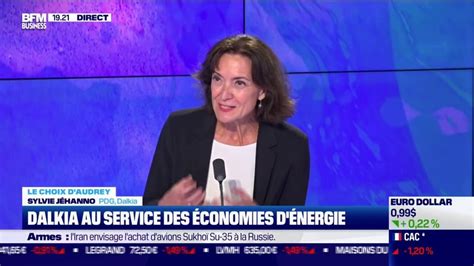 Dalkia Au Service Des économies Dénergie