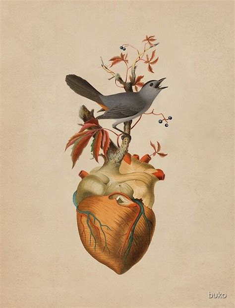 Blossom By Buko Redbubble Illustration Art Fine Art Prints Bird