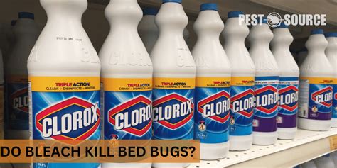 Does Bleach Kill Bed Bugs Eggs At Tyson Macgillivray Blog
