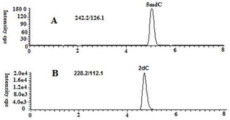 Quantification Of Regional Dna Methylation By Liquid Chromatography Tandem Mass Spectrometry