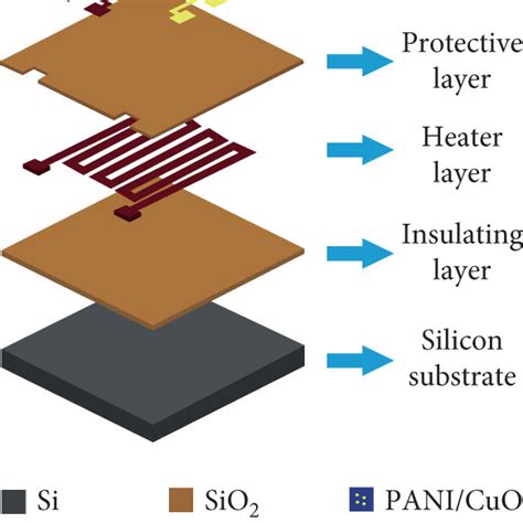 a each component of the sensor surface b the schematic diagram of