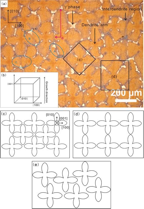 A Typical Microstructure In The Transverse With Orientation