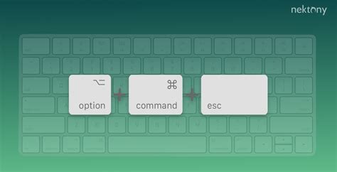 How To Force Quit Apps On Mac 6 Ways Nektony