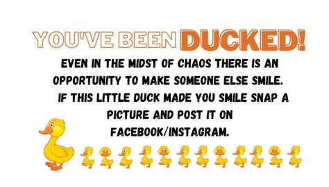 Duck Duck Youve Been Ducked Ducking Tags Set Of Etsy