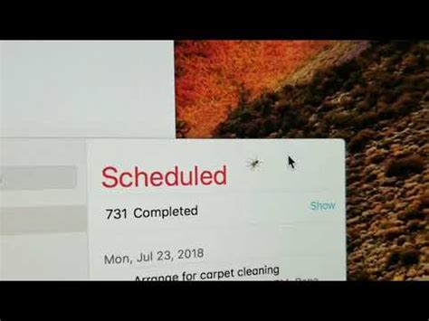 Spider Is Stuck Inside IMac Screen A Literal Computer Bug Thrillist