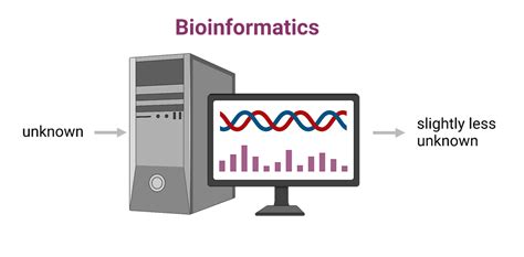 Bioinformatics Job Available In Our Department
