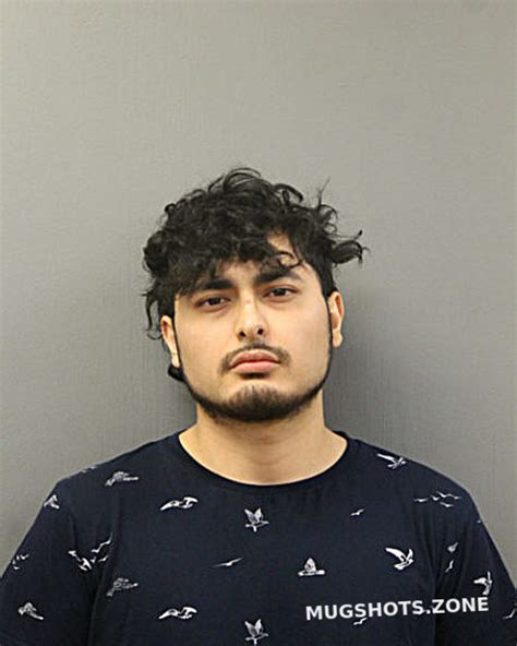 Alejandro Marin 02252024 Chicago Mugshots Zone