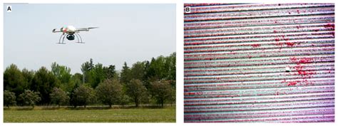 Object Based Weed Analysis Of Unmanned Aerial Vehicle Uav Images Interesting Dronetrest