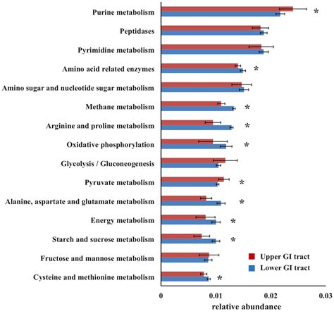 The Relative Proportions Of The Most Abundant Metabolism Related Kegg