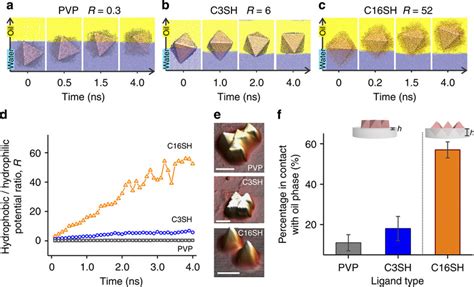 Using Molecular Dynamics Simulations To Unravel The Interfacial Download Scientific Diagram