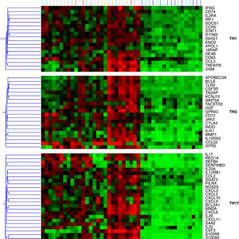 Hierarchical Clustering Analysis Of Responder Patient Samples By Download Scientific Diagram