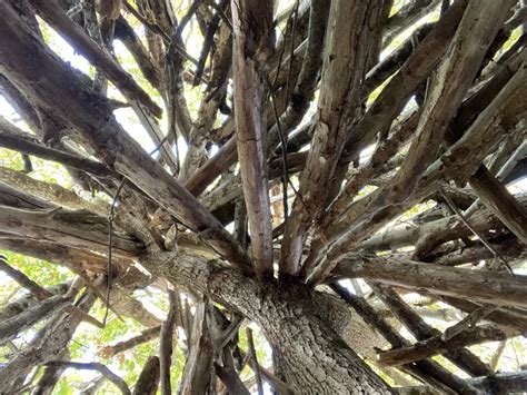 building resilient systems