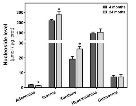 Adenosine And Related Metabolite Levels During Aging In The Cerebral
