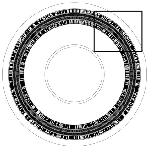 A Overall Code Disk Structure B Local Code Disk Structure Download Scientific Diagram