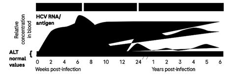 Roche Interactive Testing Algorithm