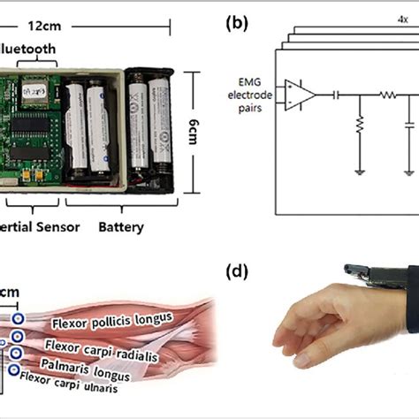 Accelerometer Signals For Nine Arm Postures Download Scientific Diagram