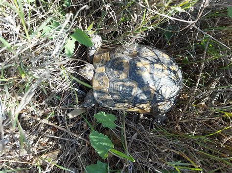 Urcal A Place In The Sun In Almeria Province Andalucia