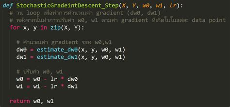 การทำ Stochastic Gradient Descent ด้วยวิธีการ Partial Derivative