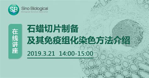 病毒去除 灭活的方法及工艺的选择