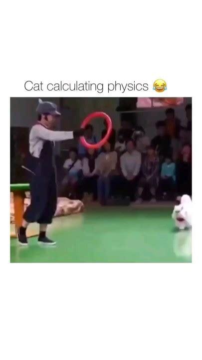 Kavishka Wijerathna Posted On Linkedin