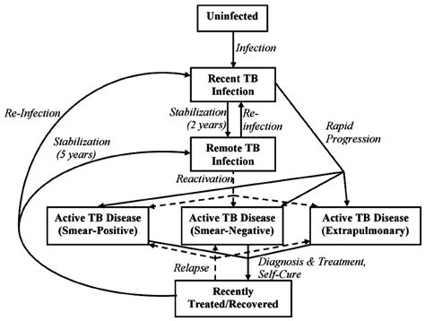 Transmission Model Of Tuberculosis In Karachi Pakistan Boxes Download Scientific Diagram