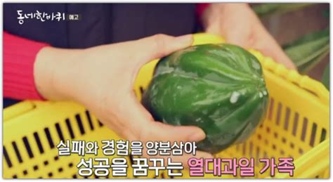 동네한바퀴 완도 열대과일 택배 주문 가격 판매처 장보고열대작물농원 네이버 블로그