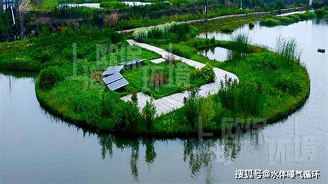 无二次污染的新一代人工浮岛ZIPBIO C201517复合纤维浮动湿地 根系 净水 植物