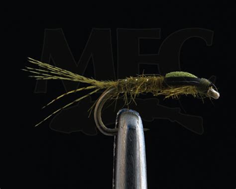 Nymph Fly Patterns Split Case Bwo Mayfly Nymph Is A Great Mayfly