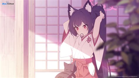 투디갤 여캐 갤에서 이게 빠지면 대체 어디서 어떻게 해야함